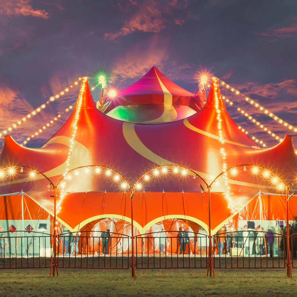 Ik weet heel veel dus ik schrijf een boek waarin ik alles vertel wat ik ...