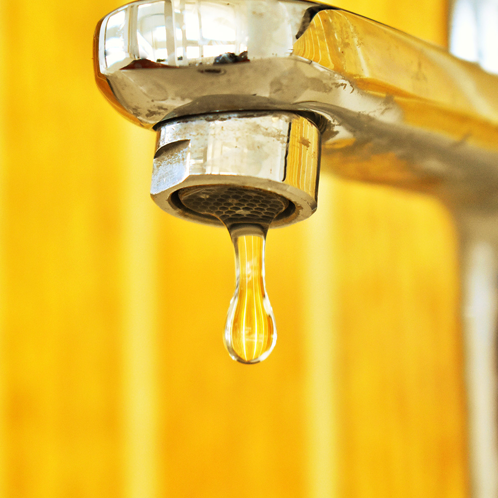 Waarschijnlijk ben je te netjes opgevoed - Uitgeverij Haystack