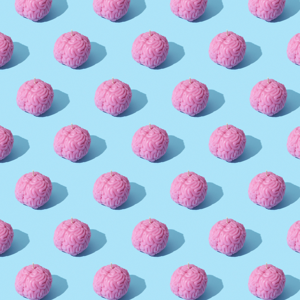 Je lezer is je boek is zo vergeten - Uitgeverij Haystack